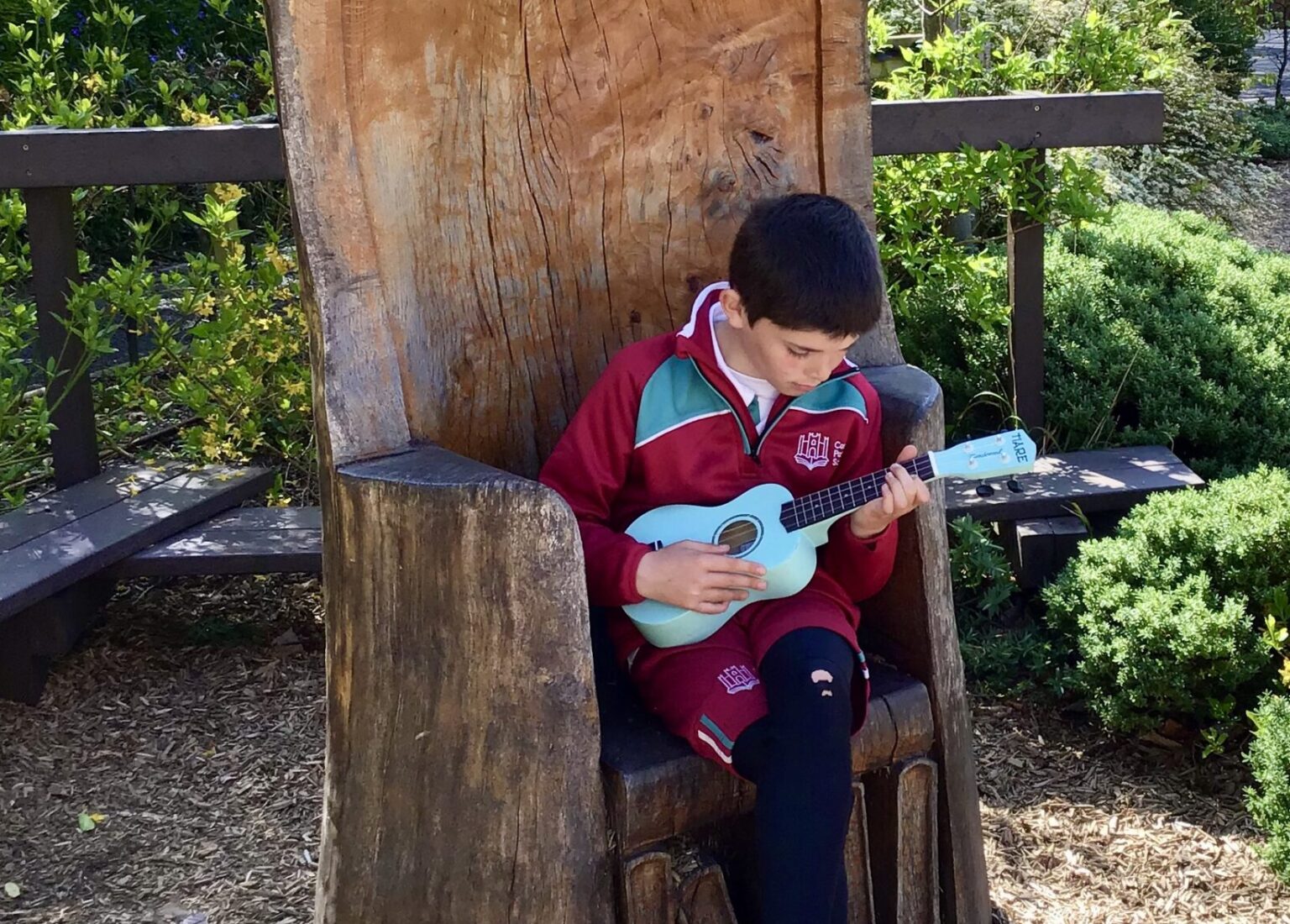 Castle Park School: A Sound Mind in a Healthy Body | Junior School Dublin